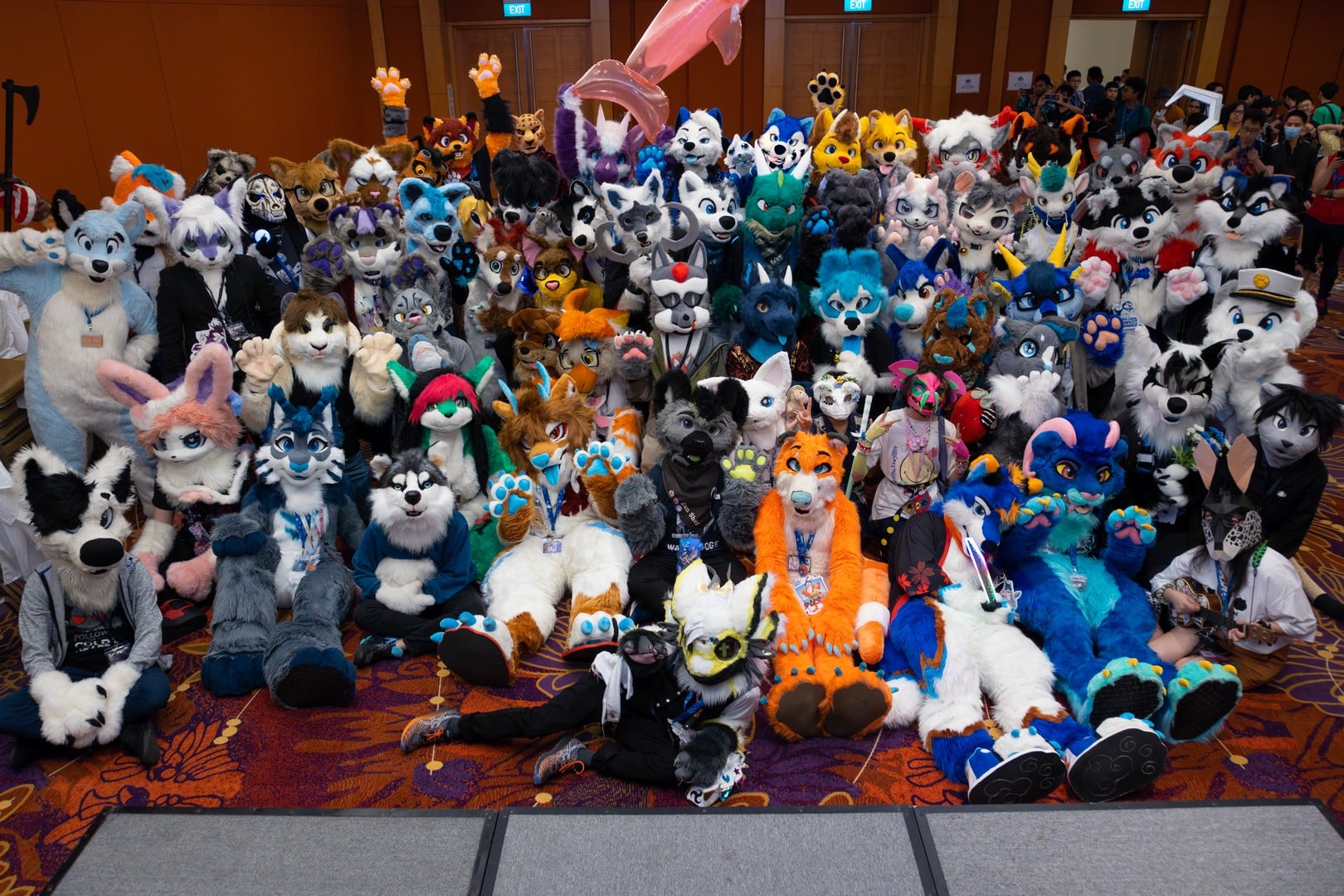 What is a Furry? - Little Island Furcon 2024